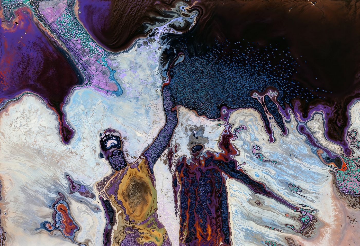 Shifting Ground by Katie Morris | Verse