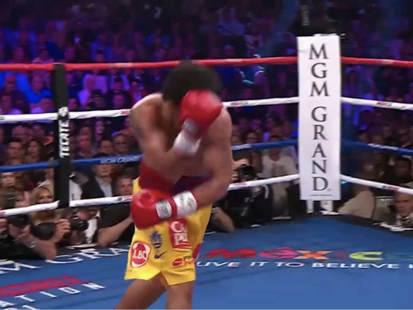 Vs. (Fight of the Century) | Verse