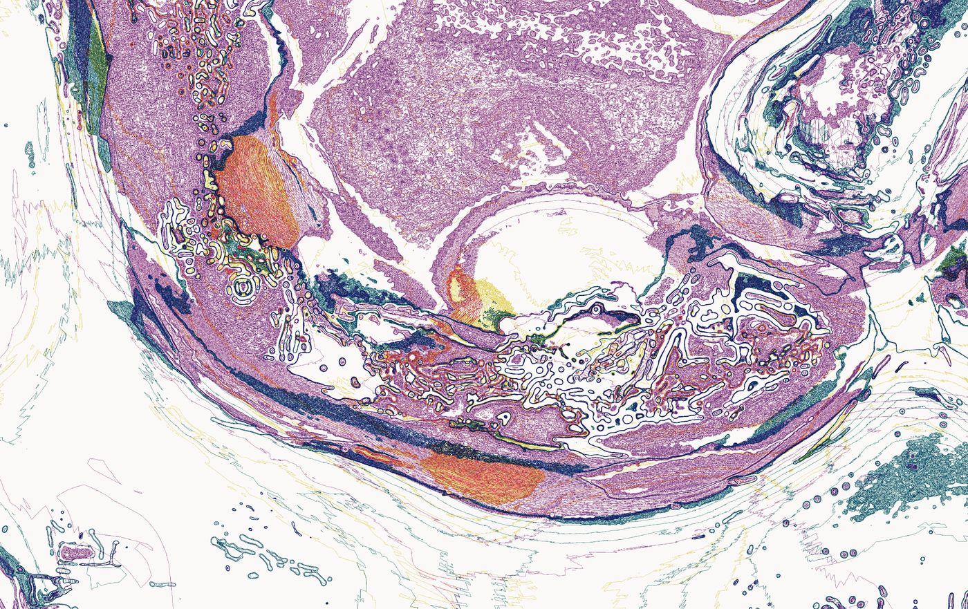 wwz ou19B10nz322Yz by qubibi | Verse