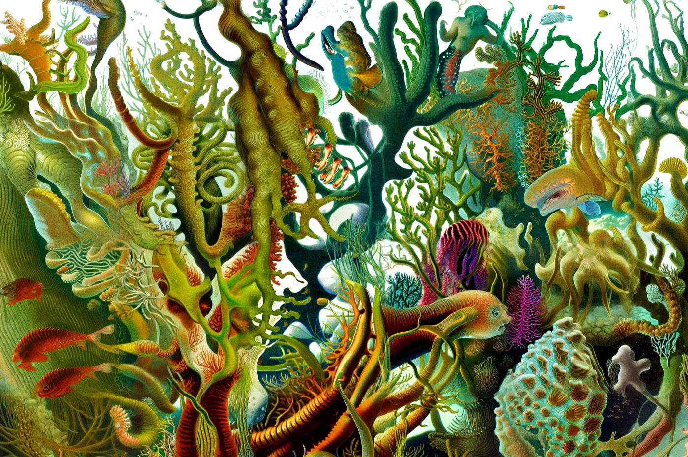 Intertidal Samples — Odysseys | Verse