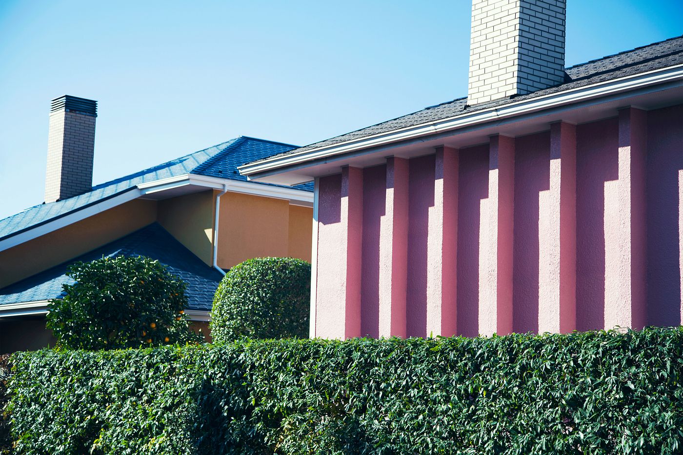 Tokyo Nude by Rumi Ando | Verse