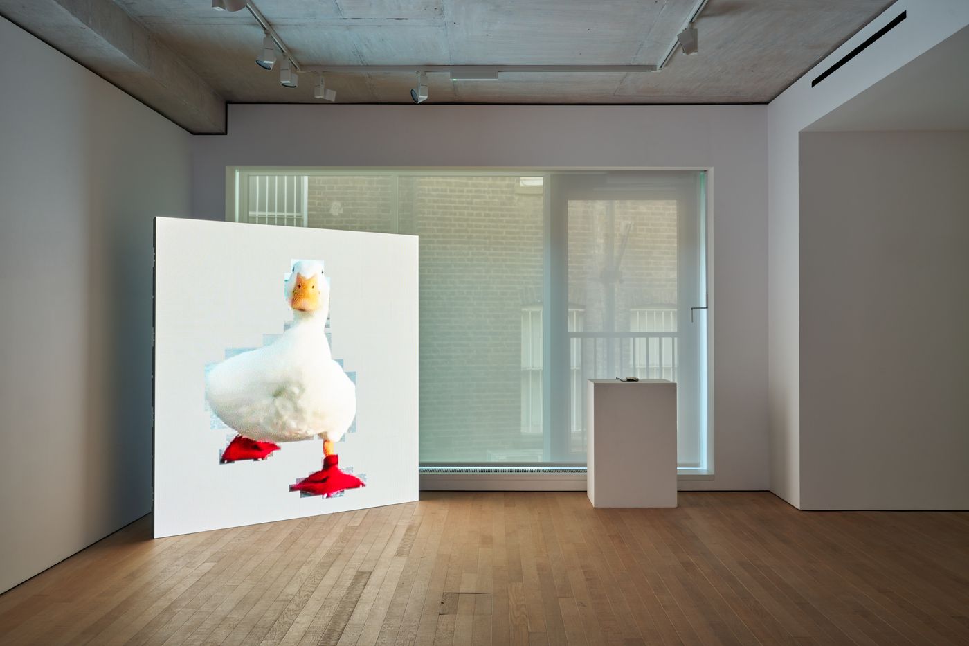 Dashing Blades | Verse