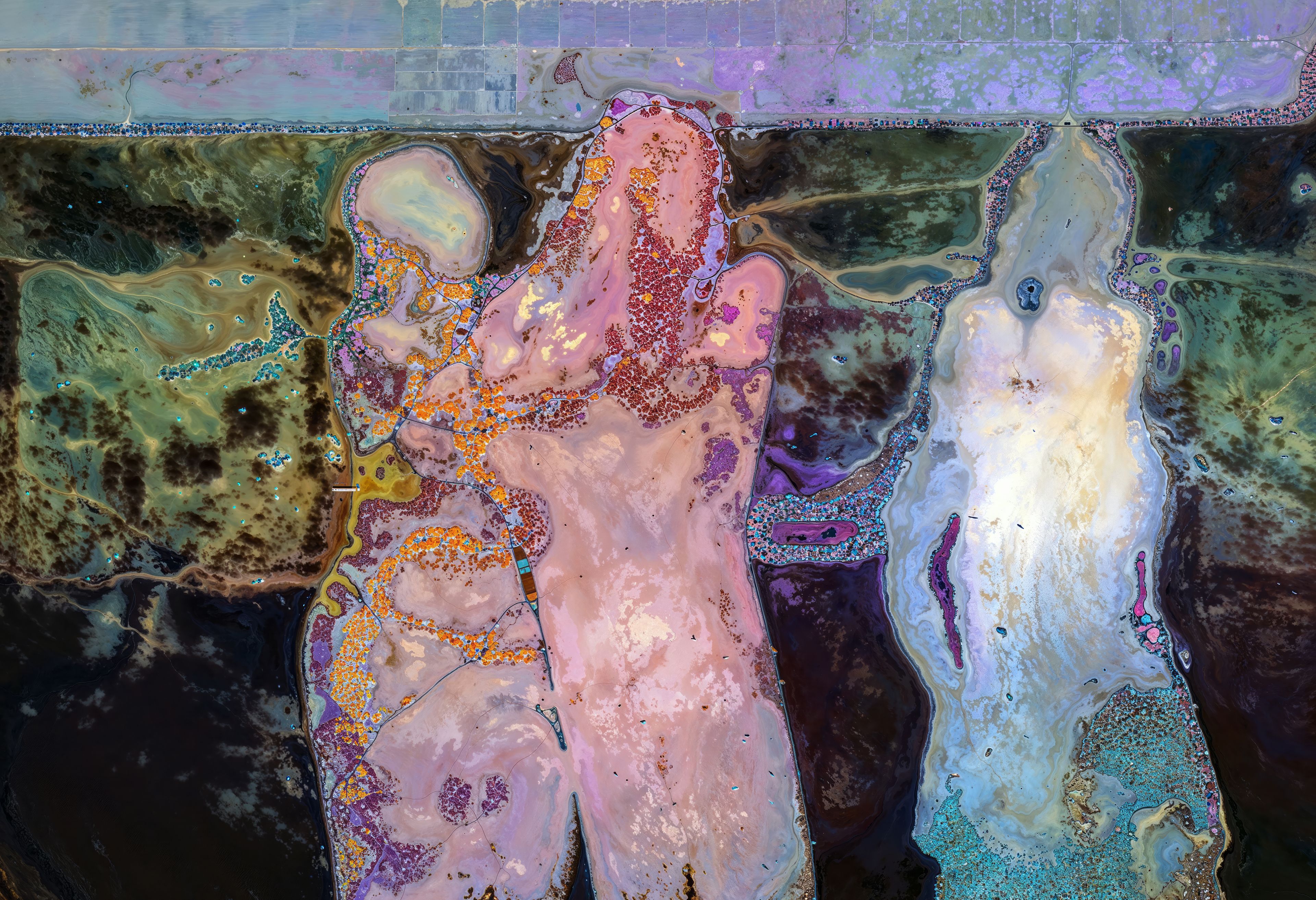 Shifting Ground by Katie Morris | Verse