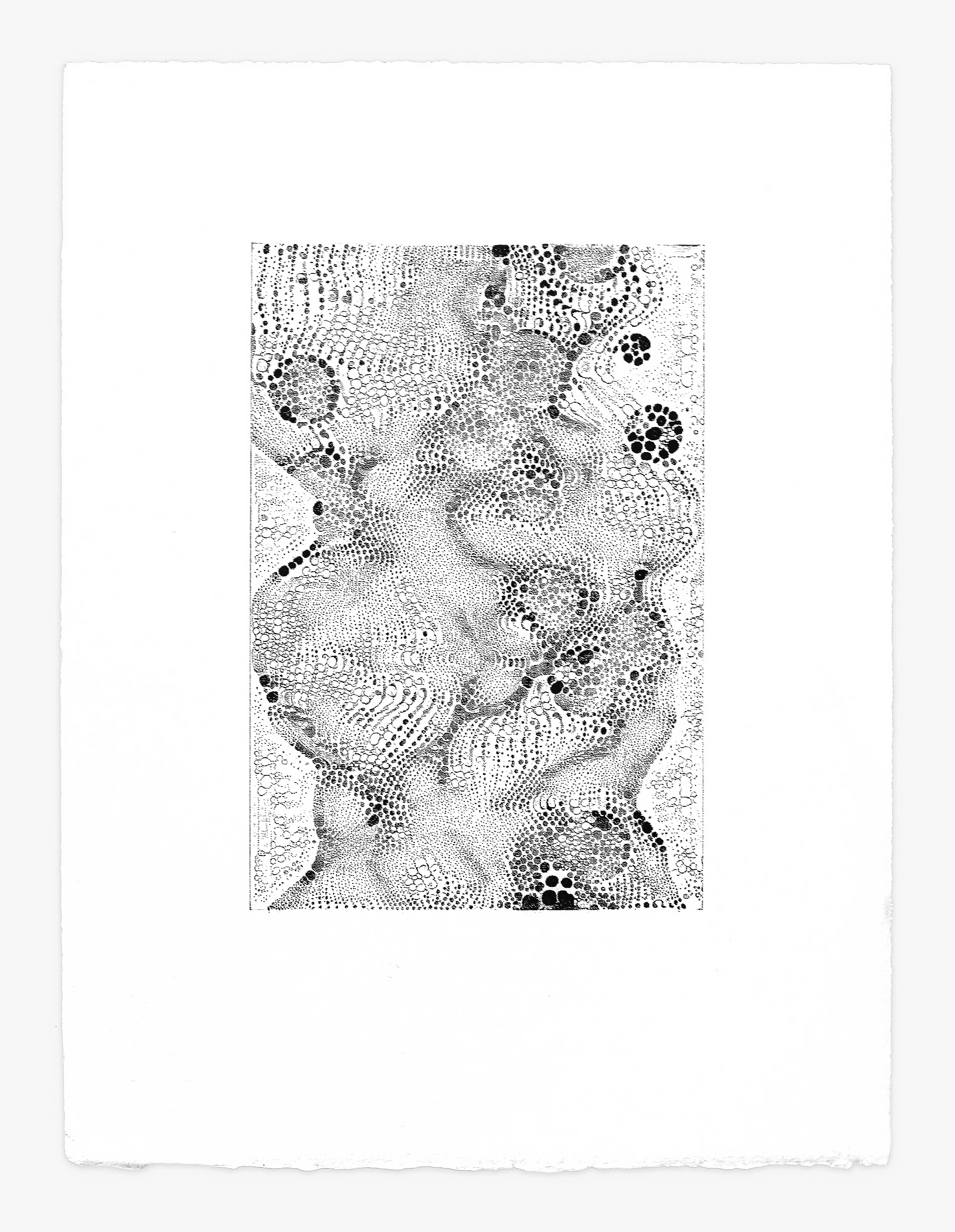 Micrographia by Mark Webster | Verse