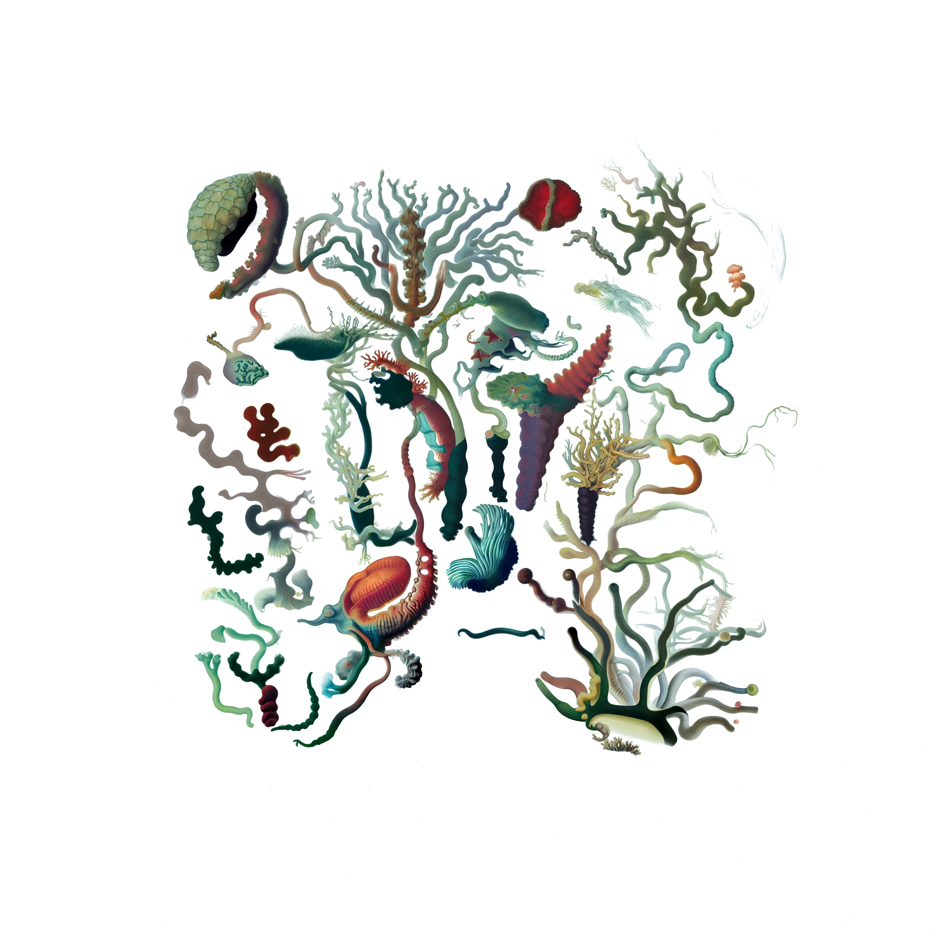 Intertidal Samples by Entangled Others | Verse