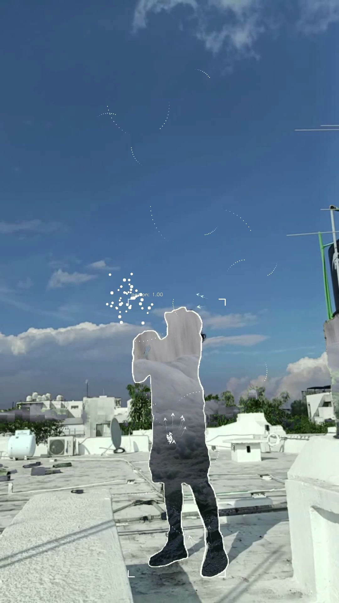 Radical Moves by Petra | Verse